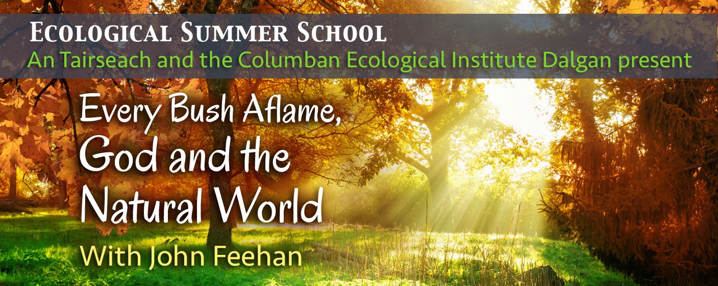Ecological Summer School: Every Bush Aflame – God and the Natural World ...