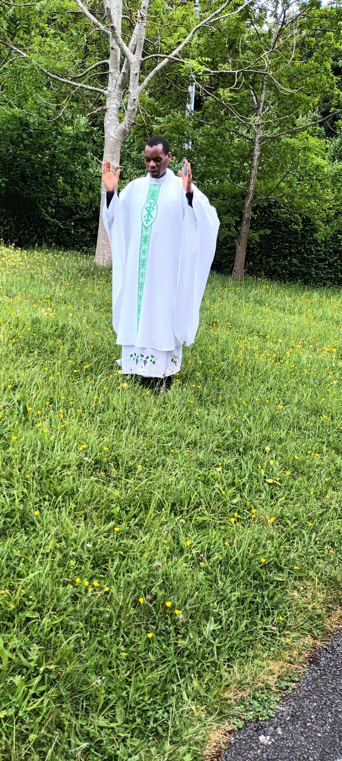 Latest News from Church of St Thérèse, Mount Merrion – Eco-Congregation ...